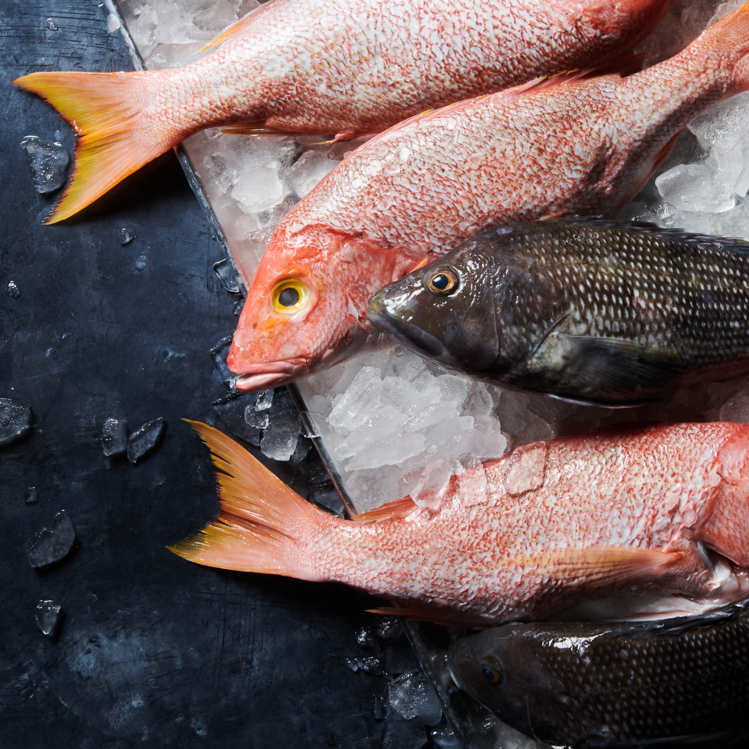 How to Cook a Whole Fish in the Oven or on the Grill