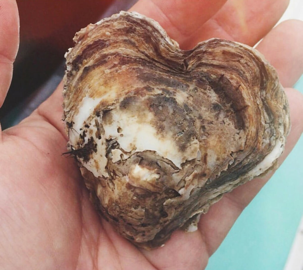 Health Benefits of Seafood | Nutrients Overview | Crave Fishbar